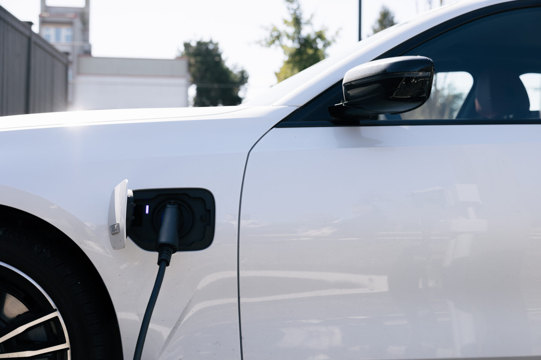 Williams - Mosaic Living